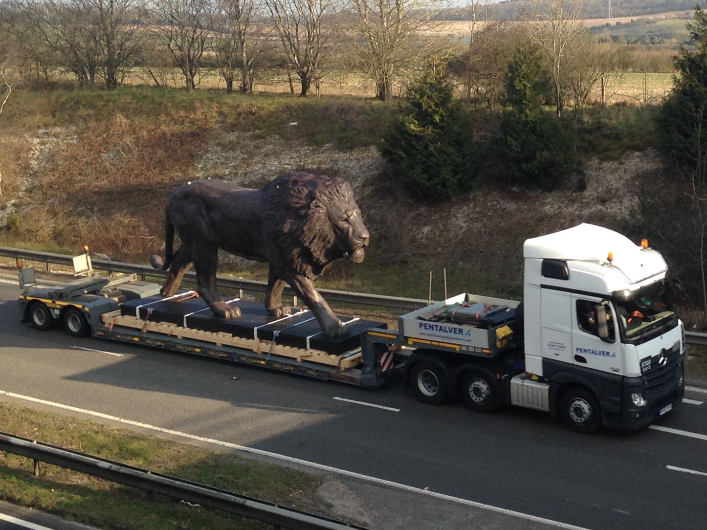 Pentalver Roar with the Latest Longleat Safari Park Pride Member ...